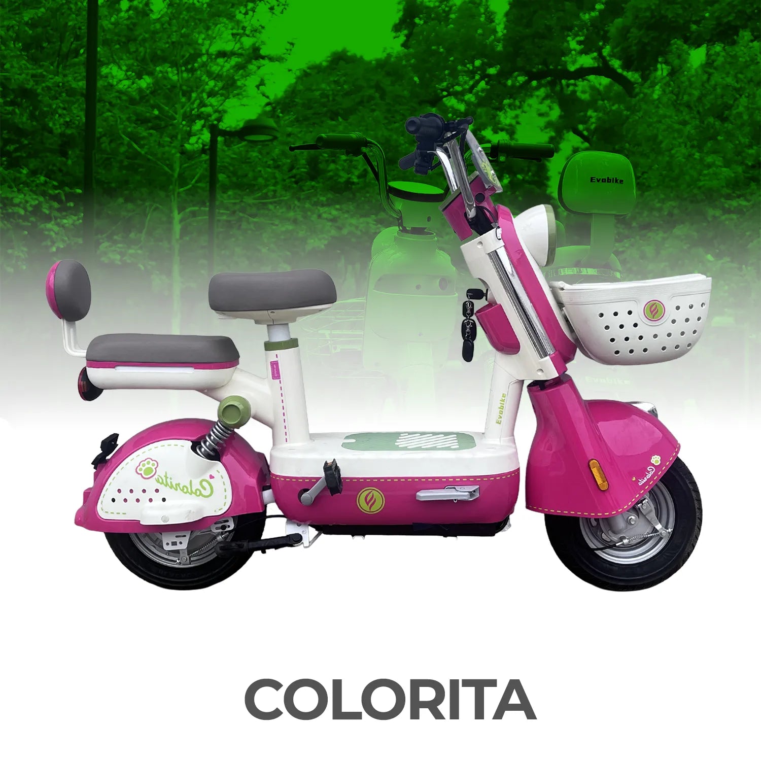 Colorita – Evobike Izcalli, Cuautitlan & Tultepec (Distribuidor autorizado)